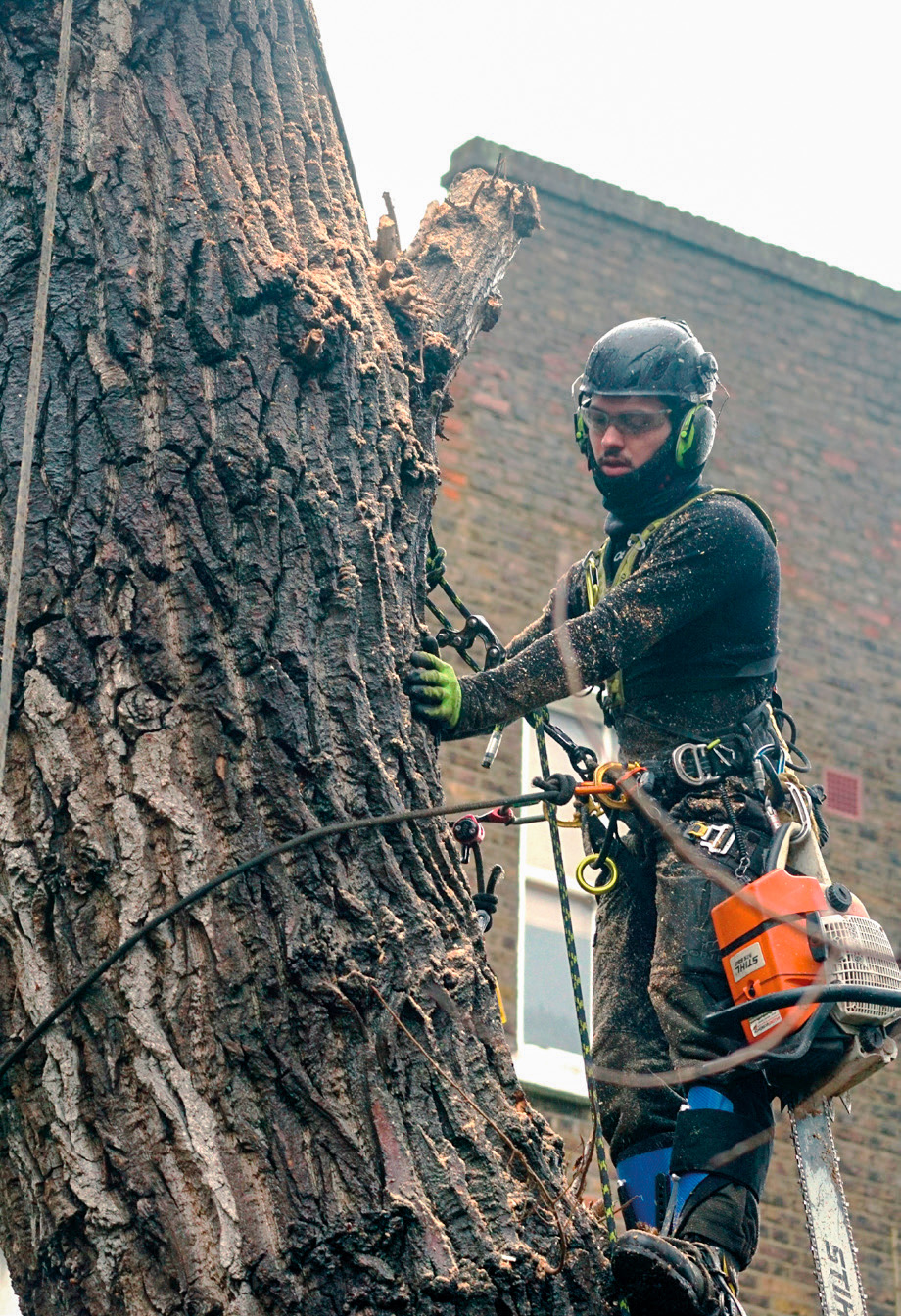 Arboricultural Association - Contractor Focus: New Equipment
